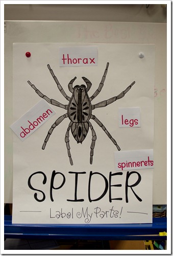 Spidey Writing - Cara Carroll